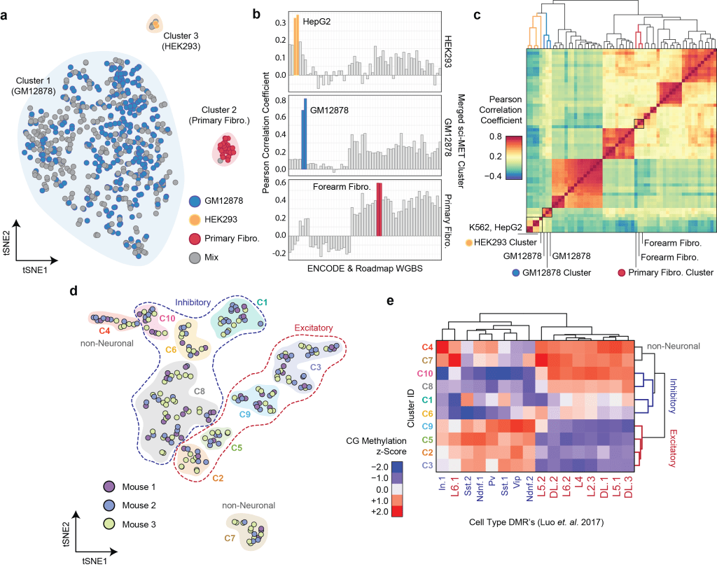 Adey Lab | High throughput epigenomics