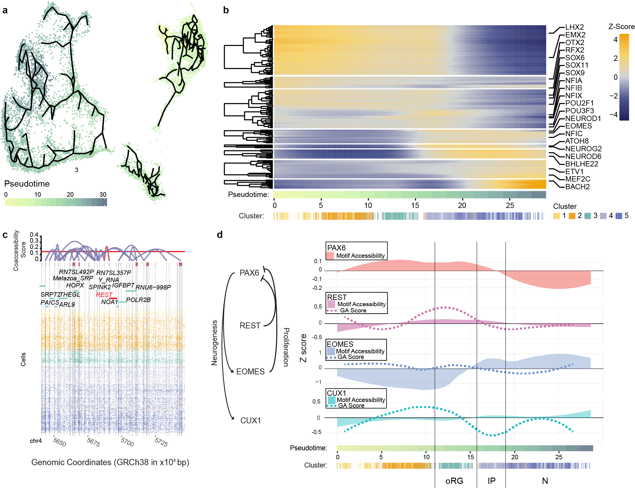 Adey Lab | High throughput epigenomics