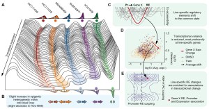 Adey Lab | High throughput epigenomics