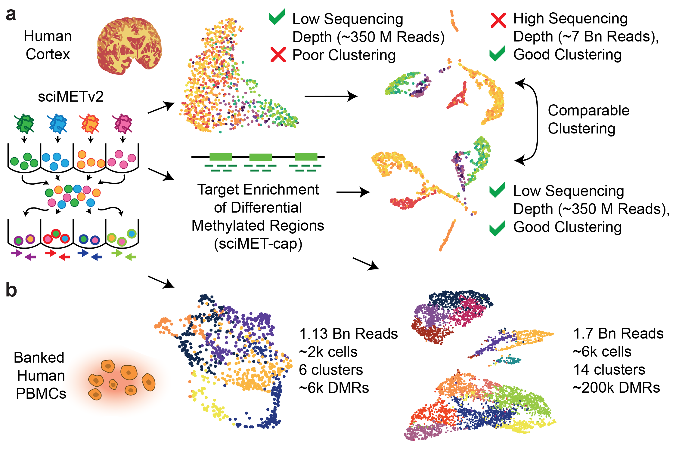 Adey Lab | High throughput epigenomics